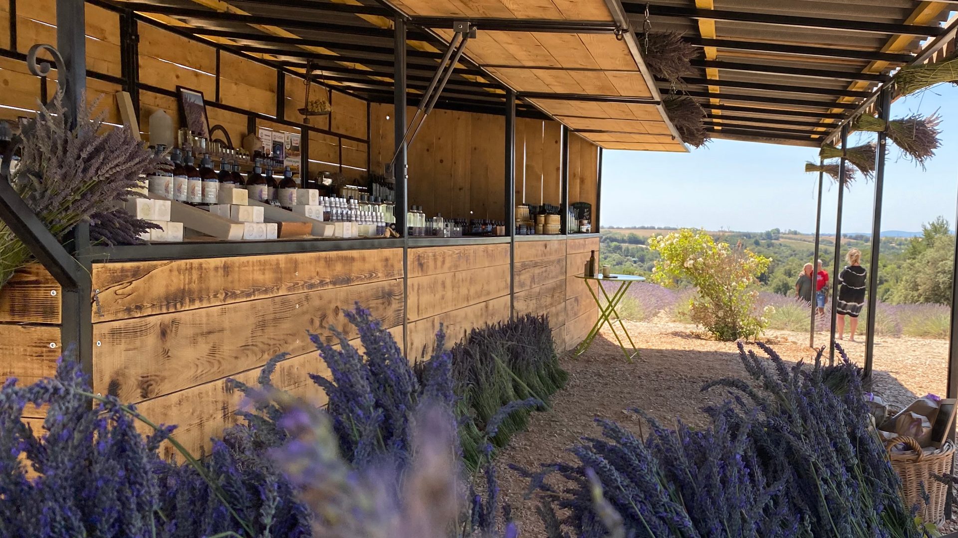 Plateau de Valensole - Lavande Bio Berenger